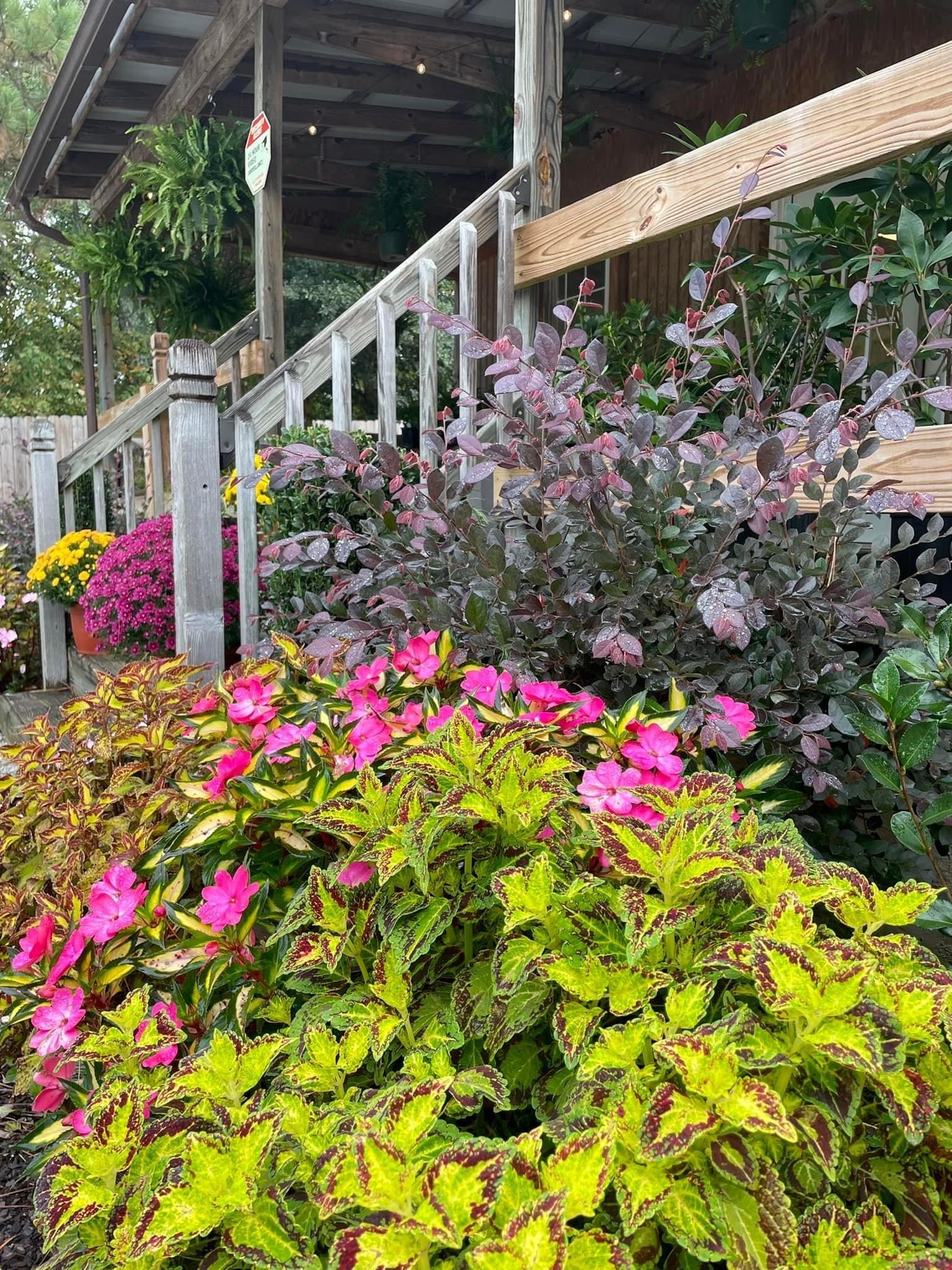 Photos – Cheaha Plant Farm