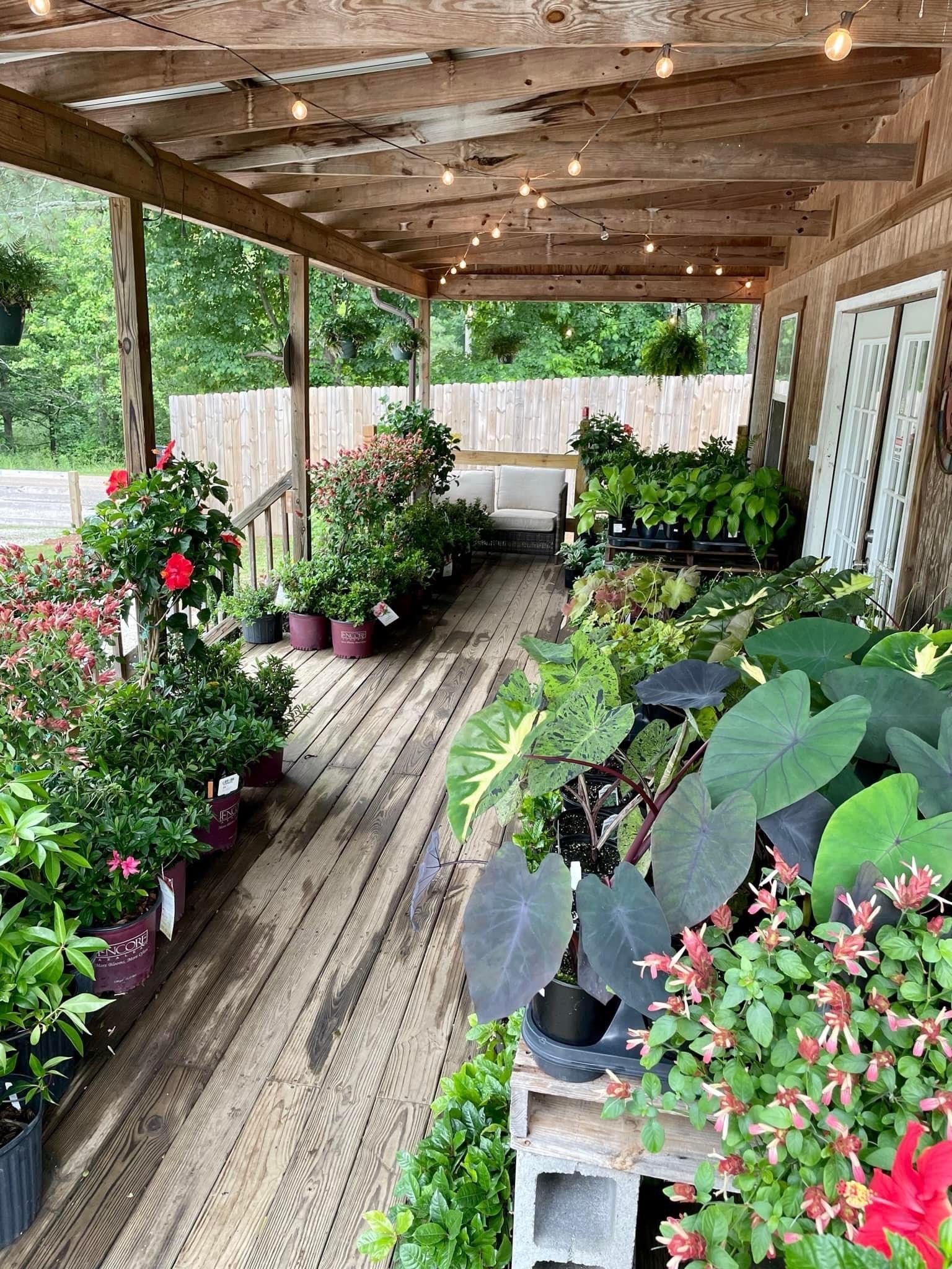 Photos – Cheaha Plant Farm